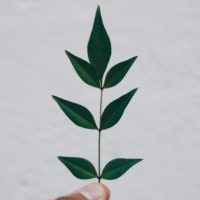 Blog – Amy Glover Psychologist